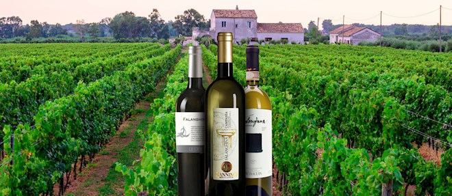 Italian Wine Varieties: 84 Wine Variety Types in Italy | TasteAtlas