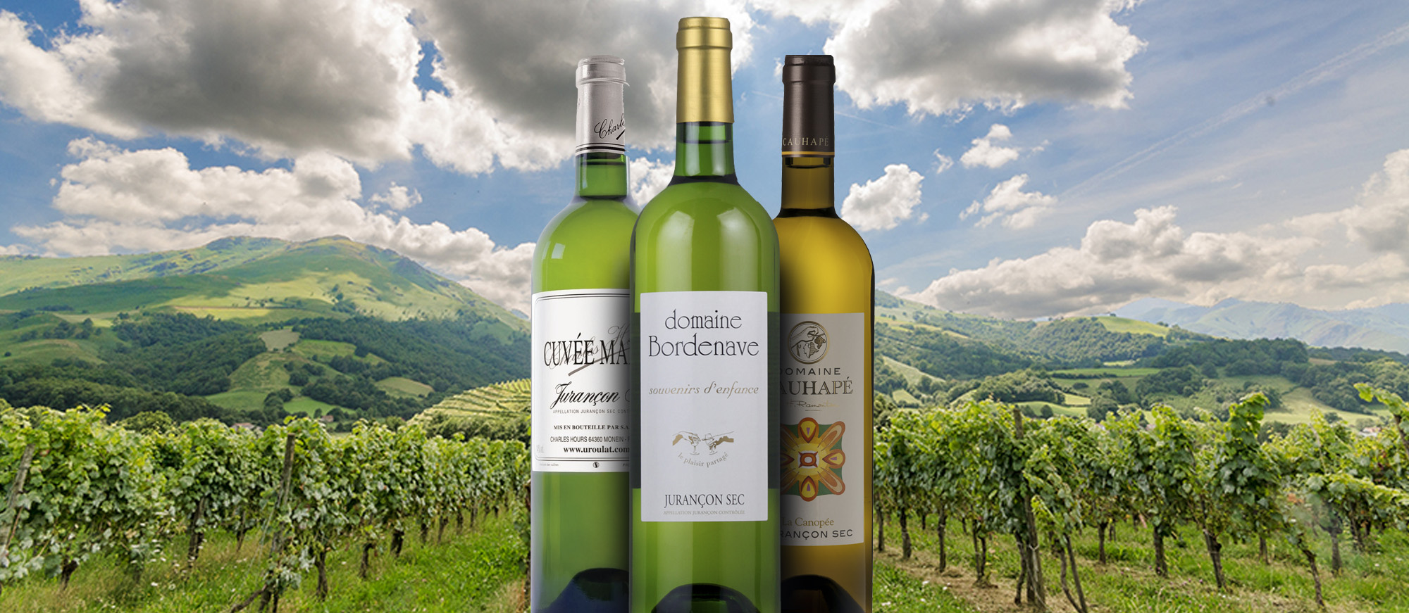 Jurançon Sec | Local Wine Appellation From Jurançon, France