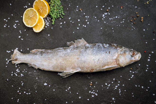 European Fishes: 46 Fish Types in Europe | TasteAtlas