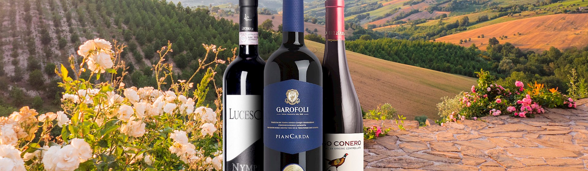7 Best Red Wines in Marche - TasteAtlas