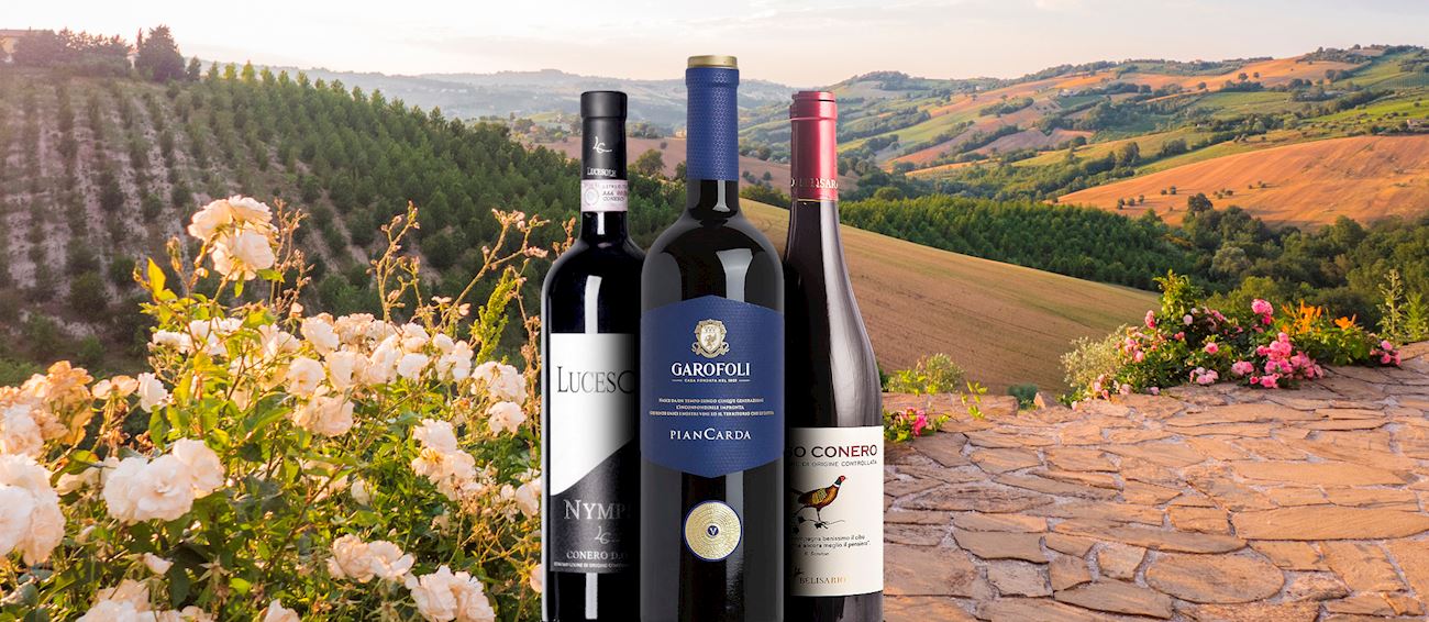 11 Best Wine Appellations in Marche - TasteAtlas