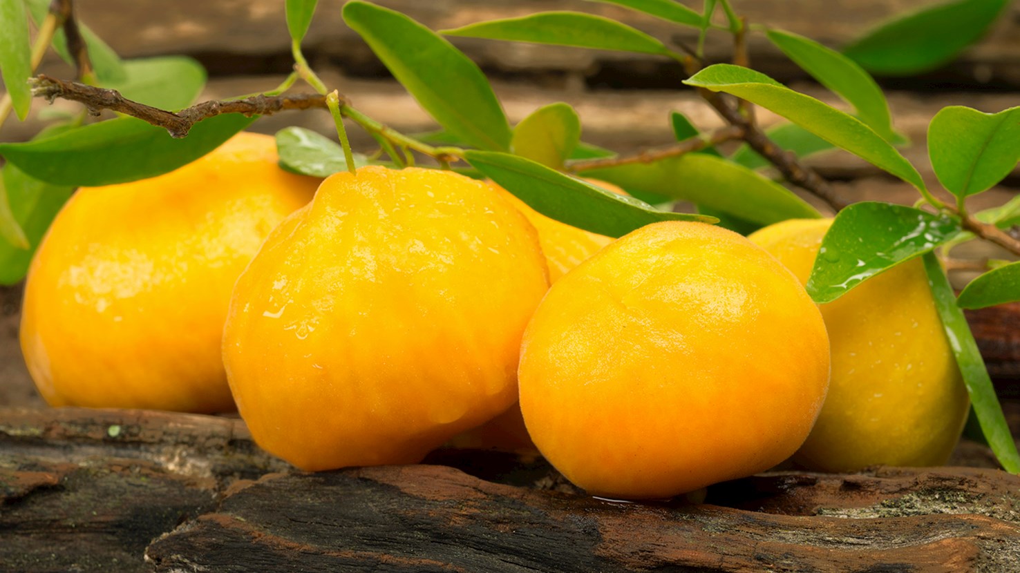 4 Best Tropical Fruits in Brazil - TasteAtlas