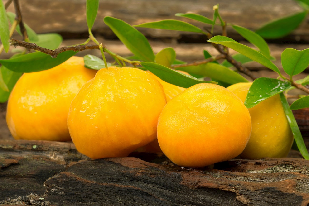 4 Best Tropical Fruits in Brazil - TasteAtlas