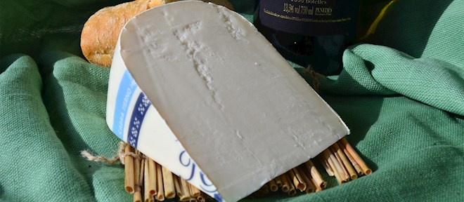 Dutch Cheeses: 20 Cheese Types in Netherlands | TasteAtlas