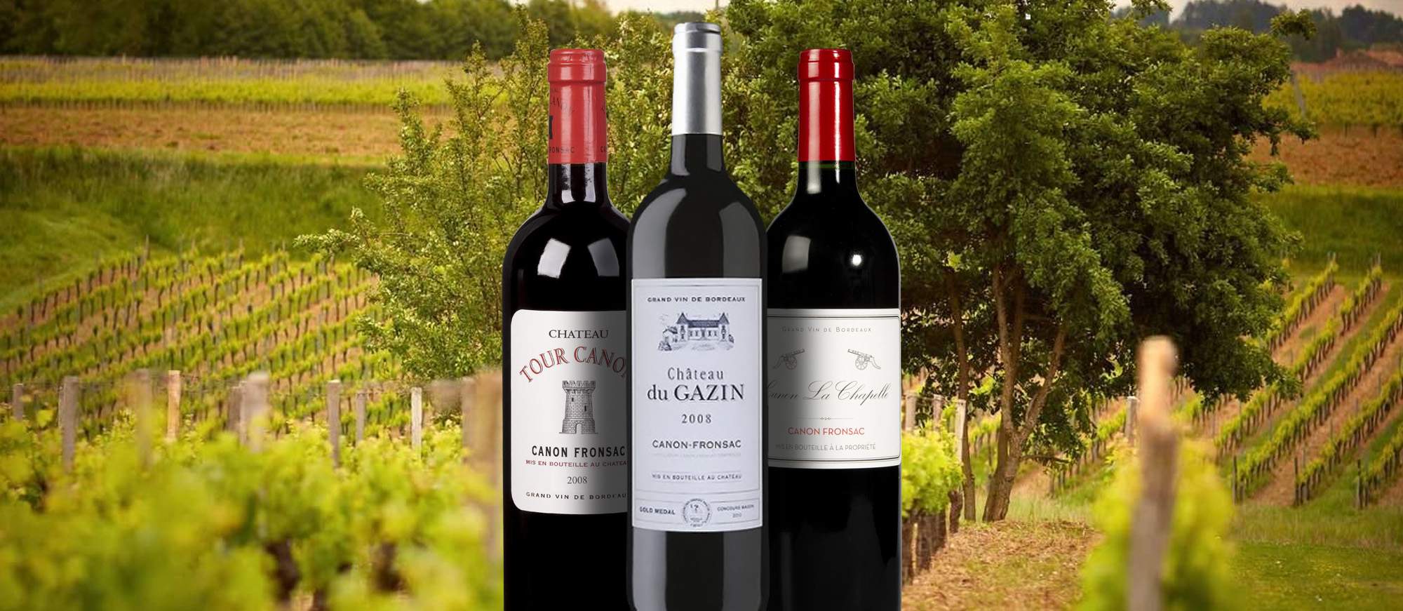 Canon Fronsac | Local Wine Appellation From Gironde, France