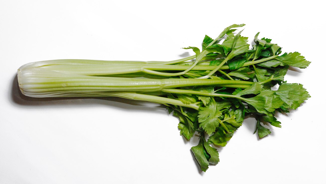 Sedano Nero di Trevi | Local Celery From Trevi, Italy