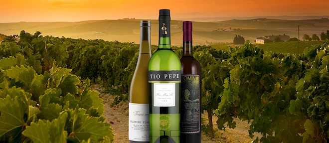 Spanish Wine Varieties: 24 Wine Variety Types in Spain | TasteAtlas