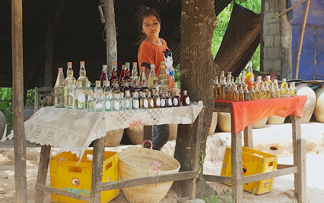 Southeast Asian Spirits and Liqueurs: 15 Spirit/Liqueur Types in ...