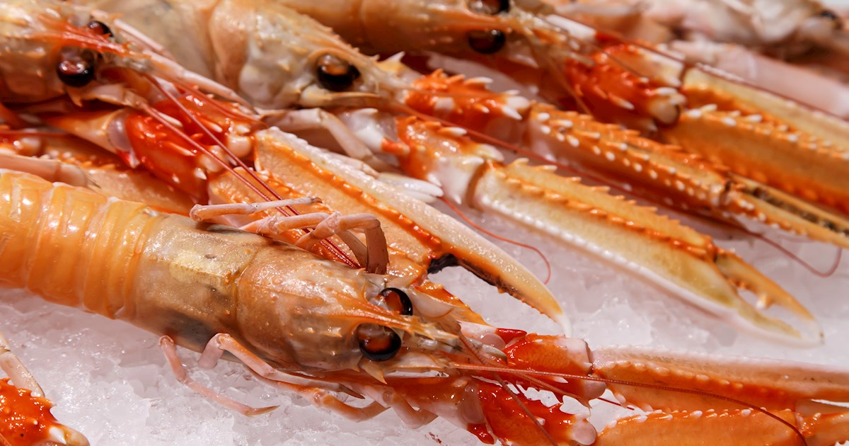 8 Best Seafood in Ireland - TasteAtlas