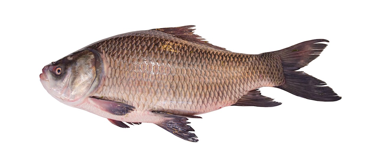 3 Best Freshwater Fishes in India - TasteAtlas