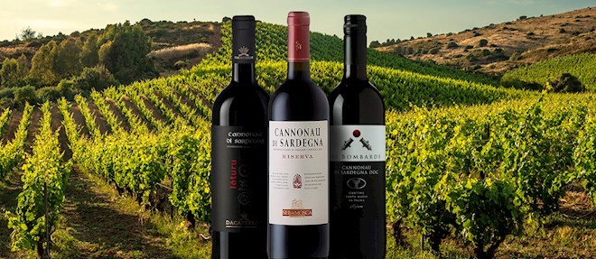 Italian Red Wines: 138 Red Wine Types in Italy | TasteAtlas