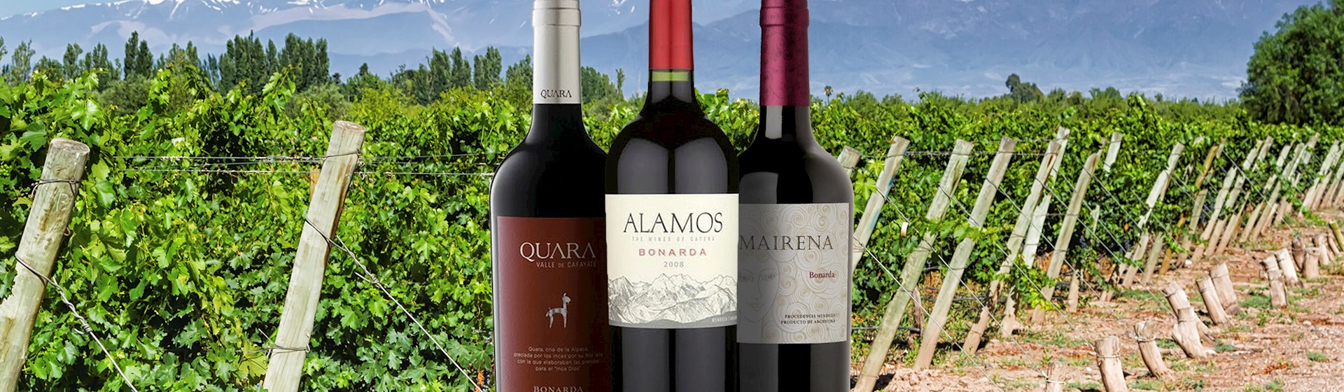 81 Best Red Wines in Argentina - TasteAtlas