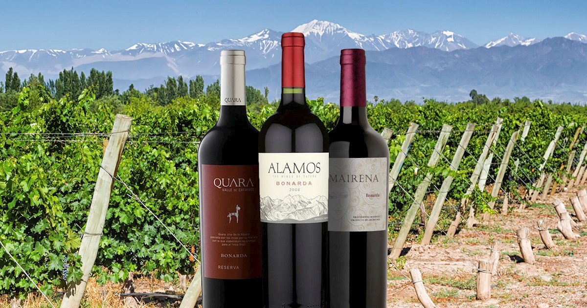 81 Best Red Wines in Argentina - TasteAtlas