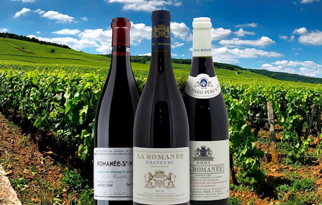 French Red Wines: 74 Red Wine Types in France | TasteAtlas