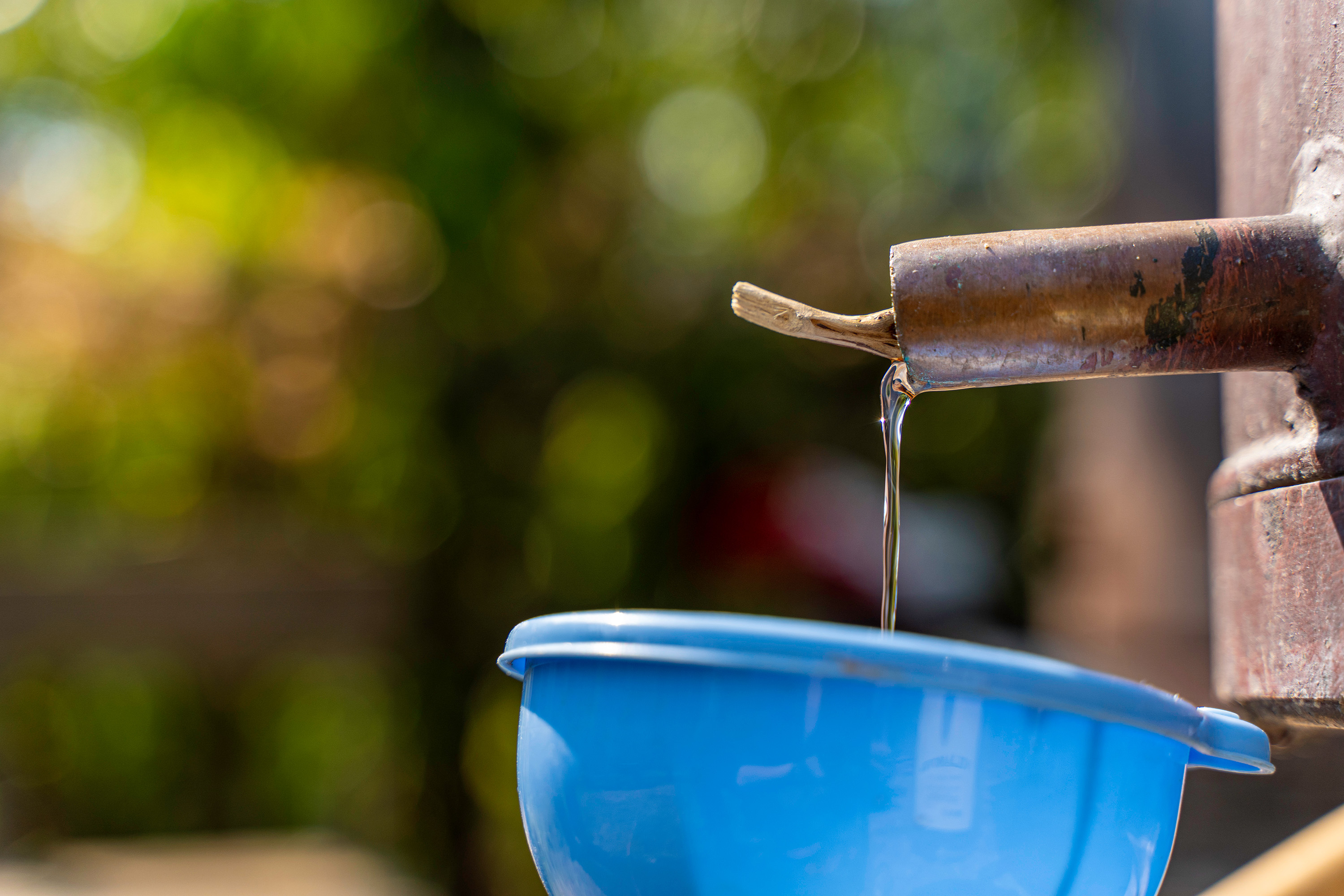 Komovica | Local Spirit From Serbia, Southeastern Europe