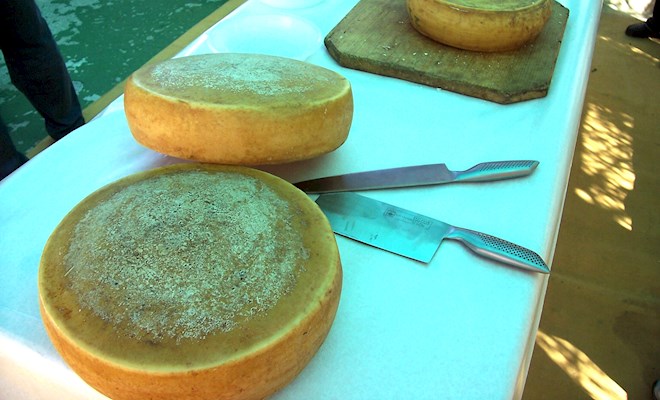 Italian Hard Cheeses: 63 Hard Cheese Types in Italy | TasteAtlas