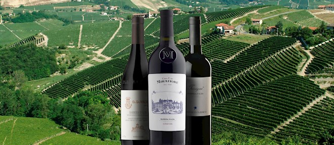 Italian Red Wines: 138 Red Wine Types in Italy | TasteAtlas