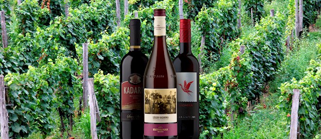 Red Grapes of the World: 69 Red Grapes Types | TasteAtlas