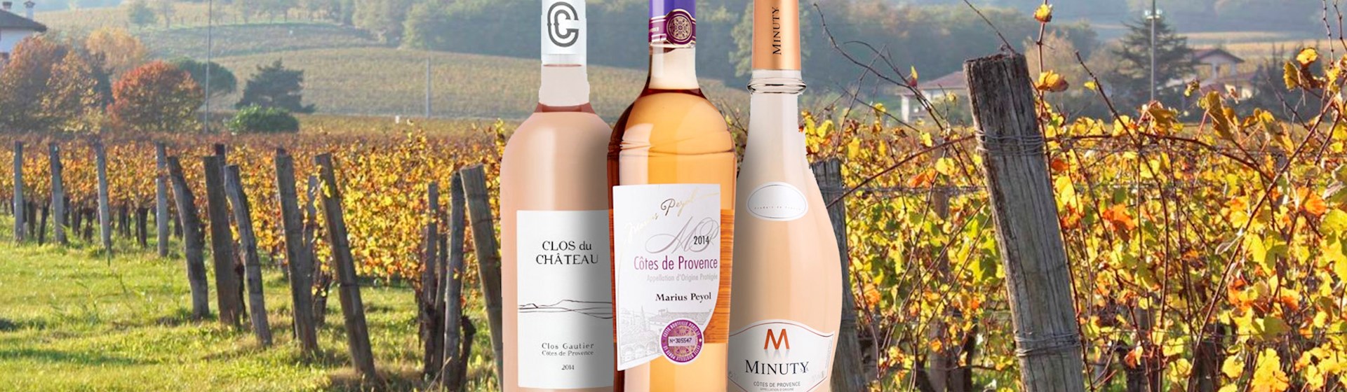 80 Best Rosé Wines in Western Europe - TasteAtlas