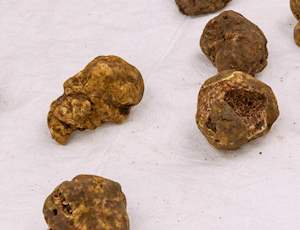 World Truffle Map | 11 World Truffles | TasteAtlas