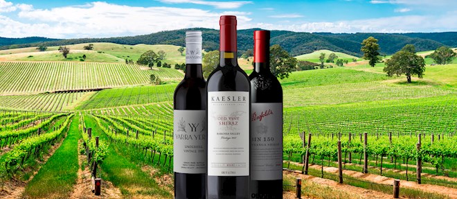 Wine Varieties of the World: 303 Wine Variety Types | TasteAtlas