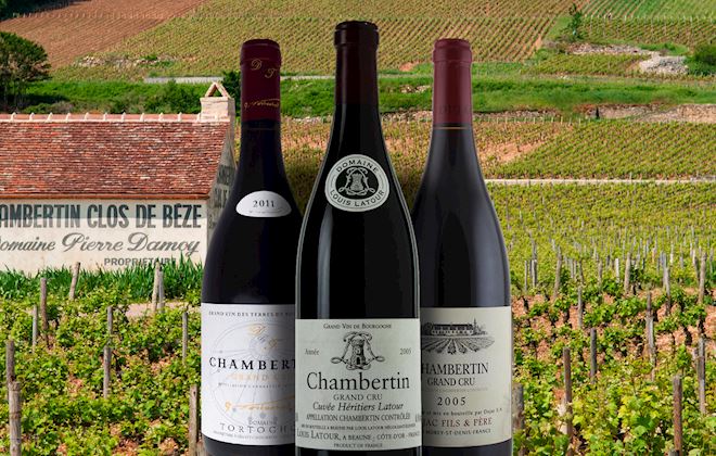 French Red Wines: 73 Red Wine Types in France | TasteAtlas