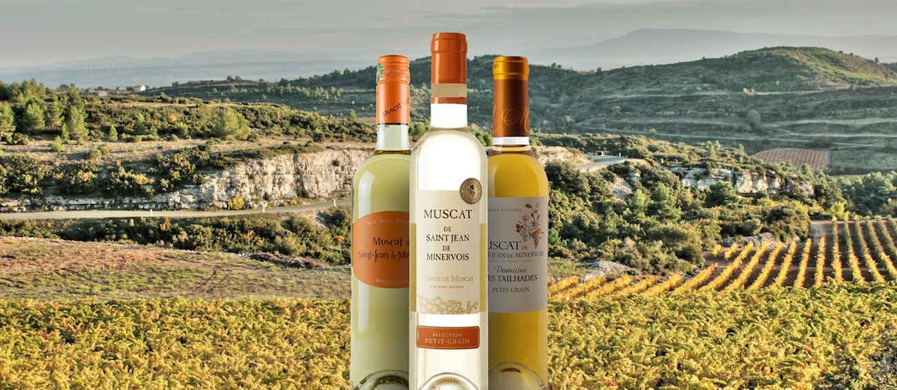Muscat de St-Jean-de-Minervois | Local Wine Appellation From Saint-Jean ...