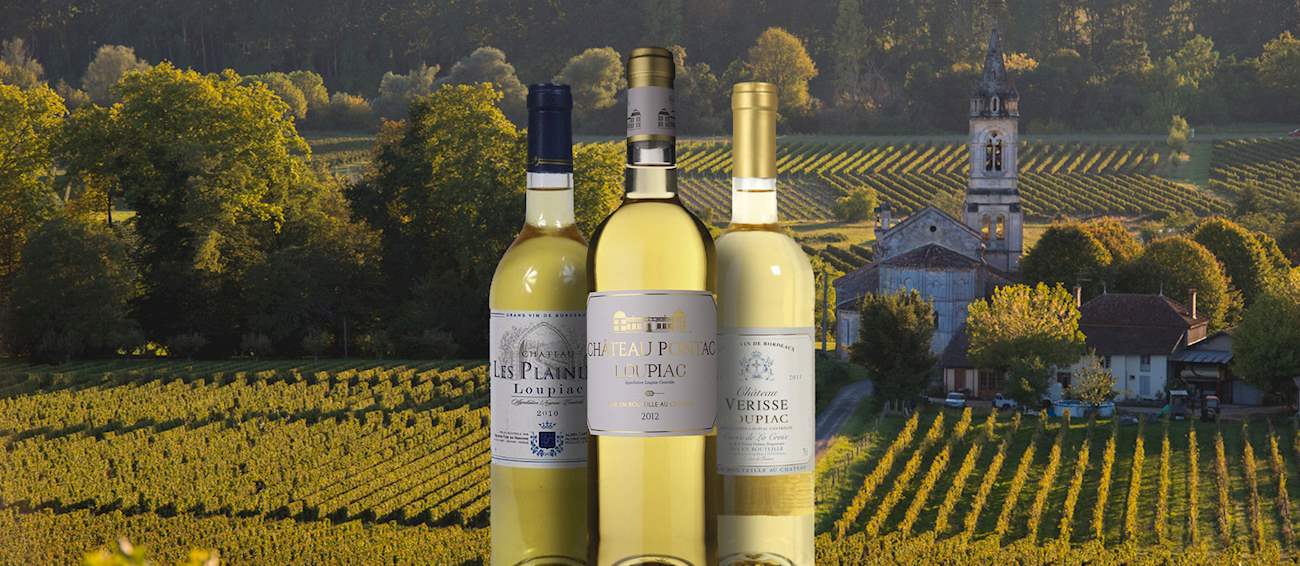 Loupiac AOC | Local Wine Appellation From Gironde, France