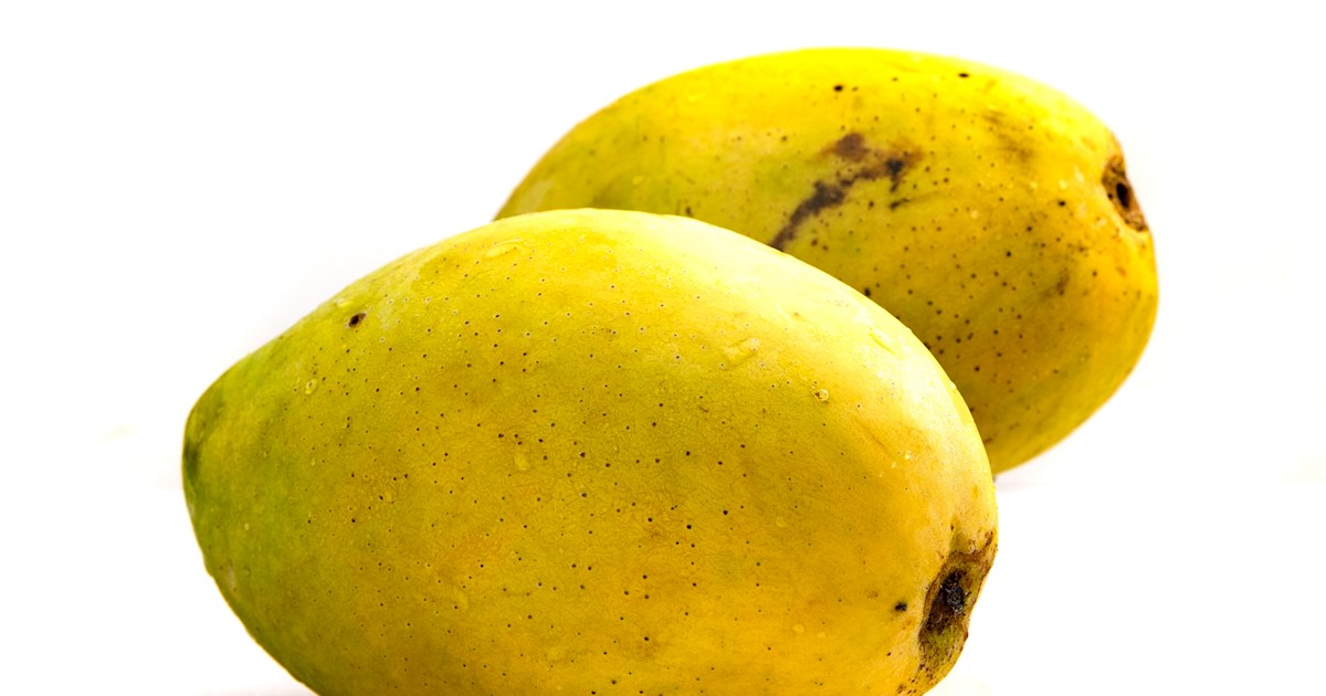 Hoa Loc Mango | Local Mango From Tiền Giang Province, Southeast Asia