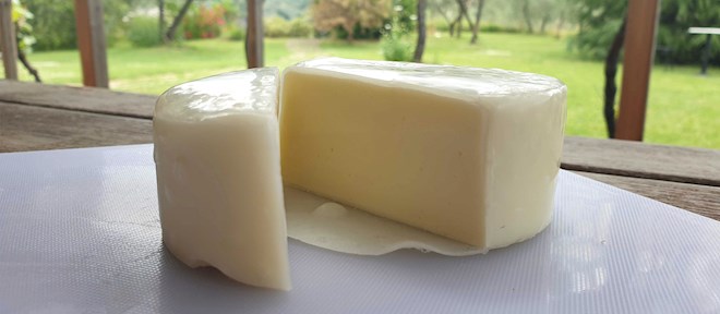 Italian Cheeses: 208 Cheese Types in Italy | TasteAtlas