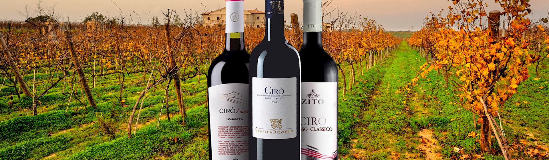 8 Best Wines in Calabria - TasteAtlas