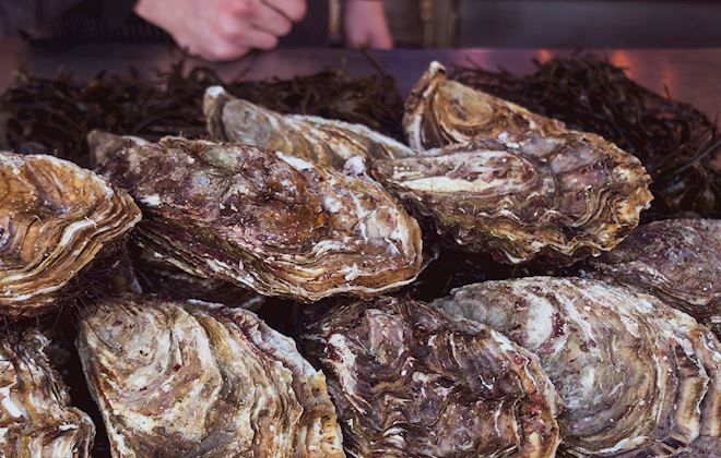 Shellfish of the World: 47 Shellfish Types | TasteAtlas