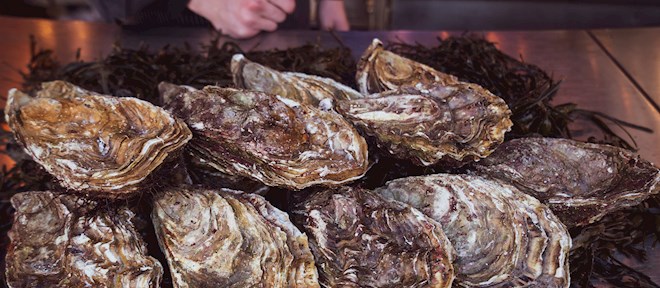 Australian Shellfishes: 7 Shellfish Types in Australia | TasteAtlas