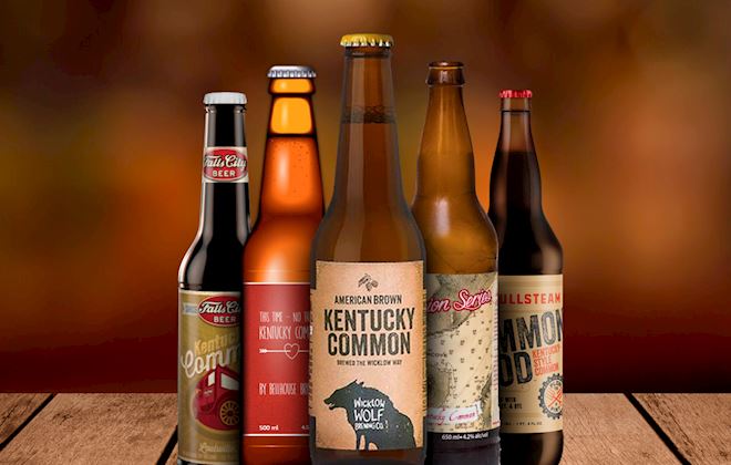 North American Beers (Styles and Brands): 13 Beer Types in North ...