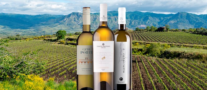 Italian White Wines: 81 White Wine Types in Italy | TasteAtlas