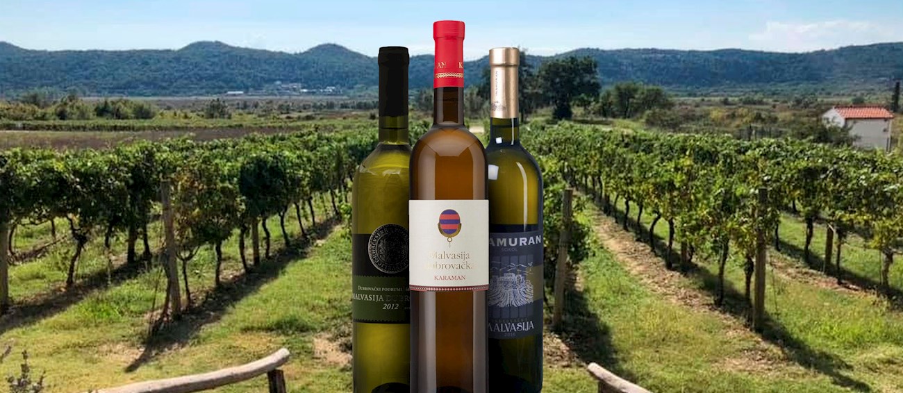 Malvasia Dubrovačka | Local Wine Variety From Dubrovnik-Neretva County ...