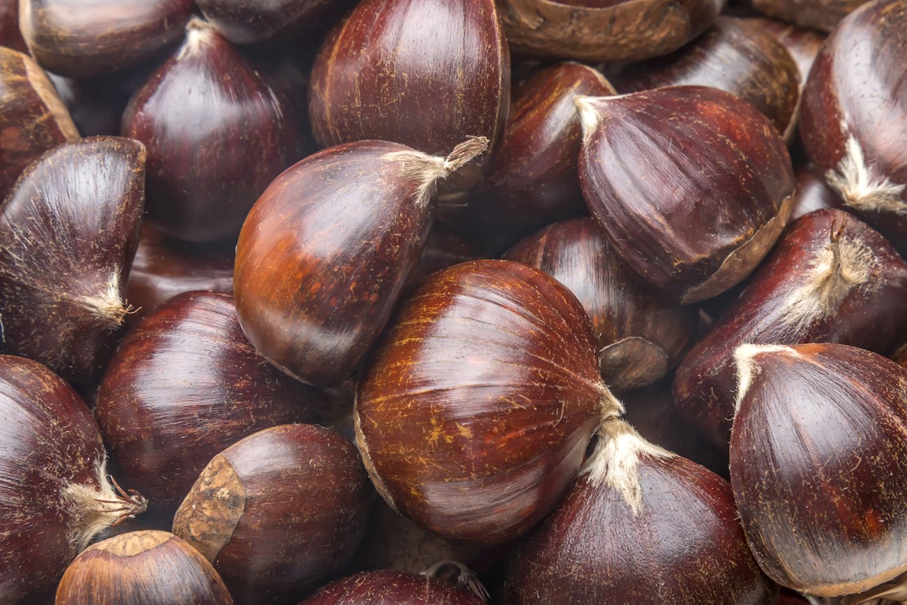4 Best Chestnuts in Portugal - TasteAtlas