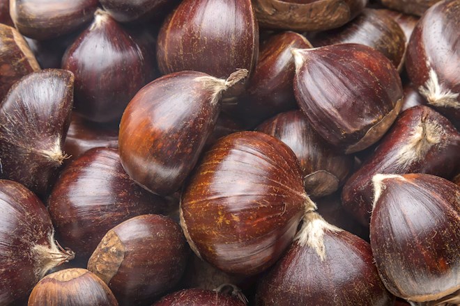 Chestnuts of the World: 20 Chestnuts Types | TasteAtlas