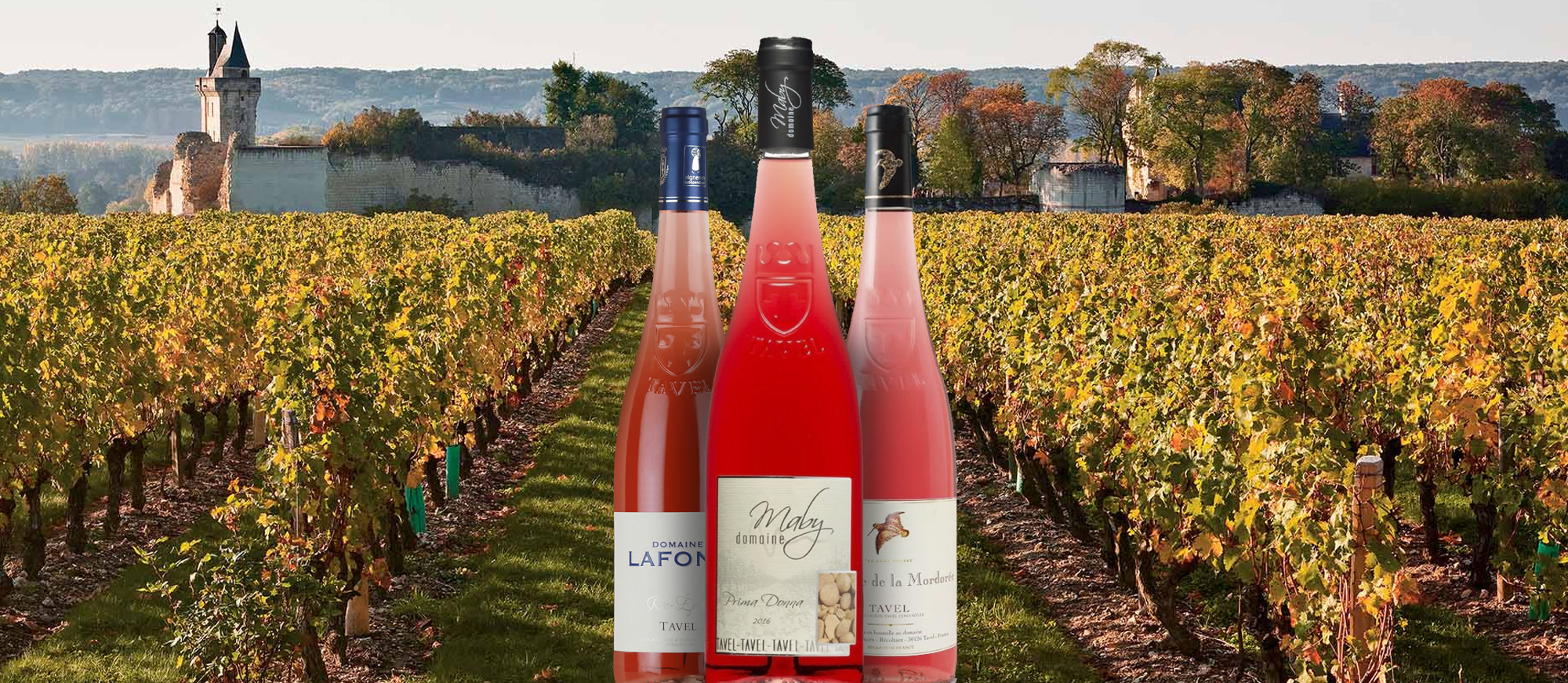 Languedoc-Roussillon Wine Appellations: 13 Wine Appellation Types in ...