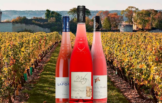 Occitan Wine Appellations: 13 Wine Appellation Types in Occitanie ...