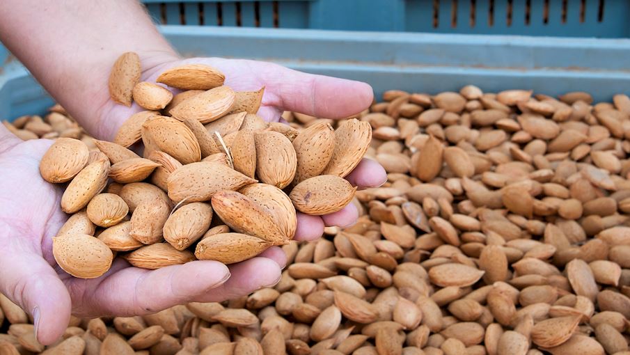 3 Best Almonds in Italy - TasteAtlas