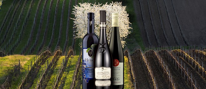 Central European Red Wines: 22 Red Wine Types in Central Europe ...