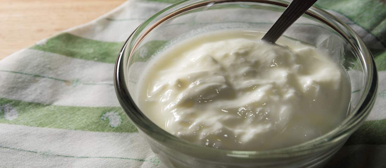 Kiselo Mlyako | Local Dairy Product From Bulgaria, Southeastern Europe