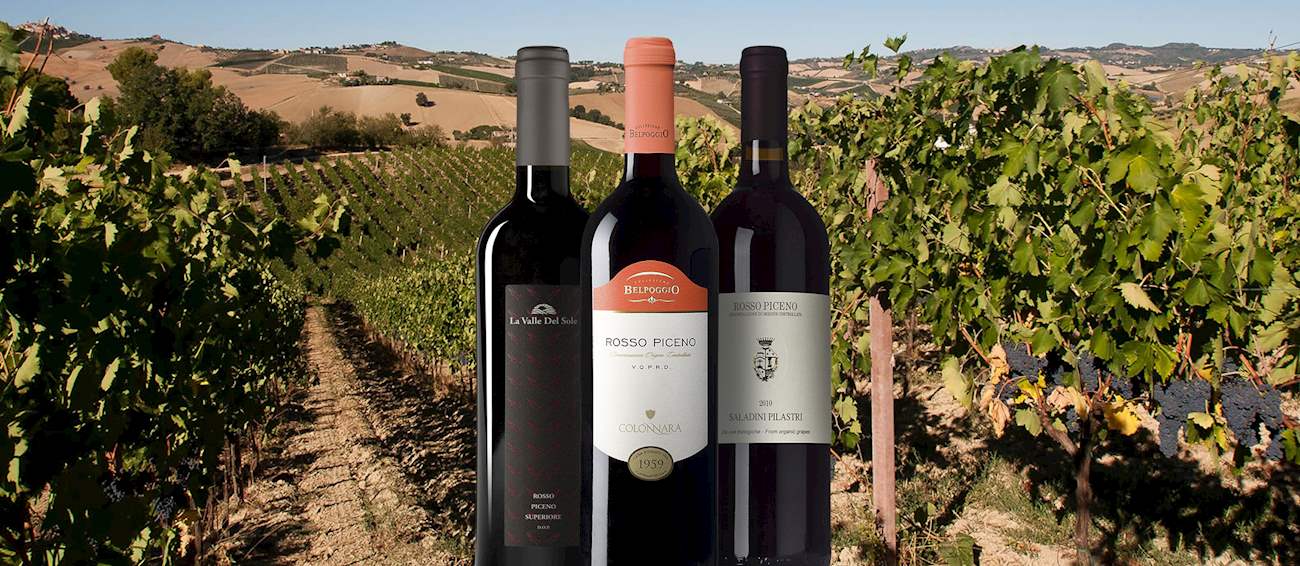 Rosso Piceno | Local Wine Appellation From Marche, Italy