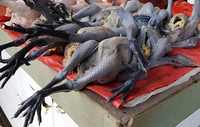 Poultries of the World: 52 Poultry Types | TasteAtlas