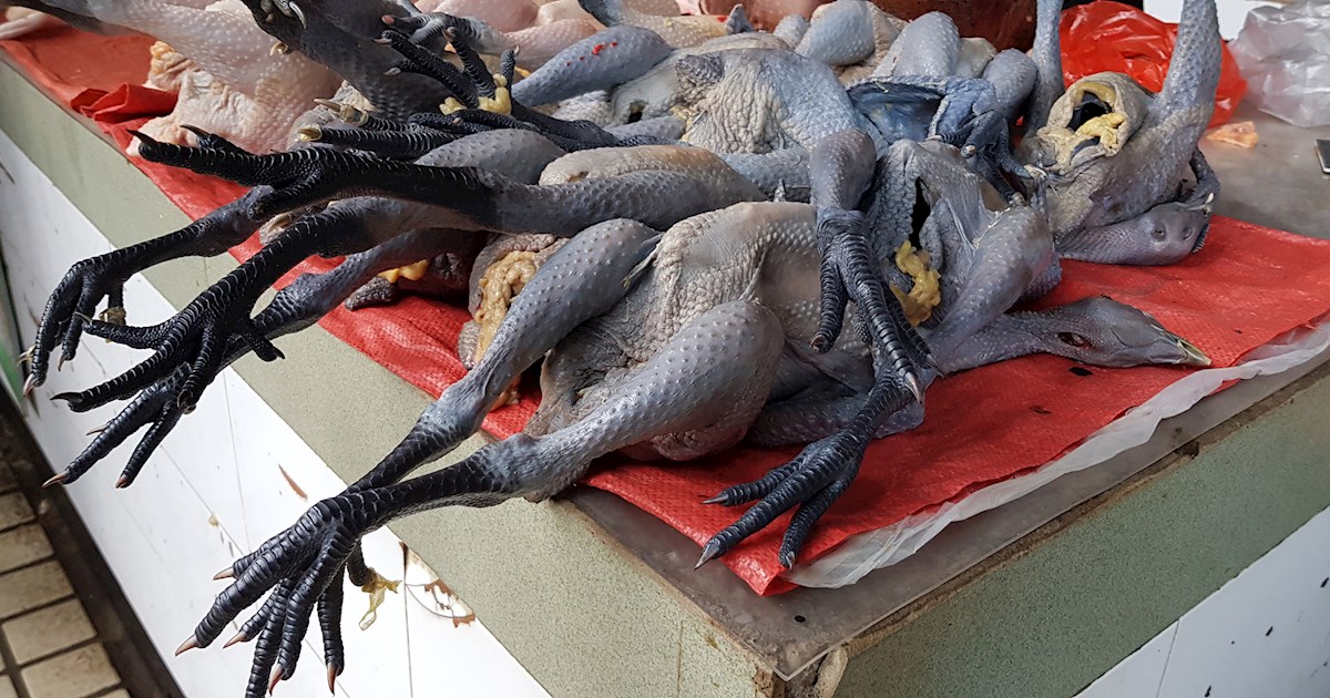 Poultry of the World: 56 Poultry Types | TasteAtlas