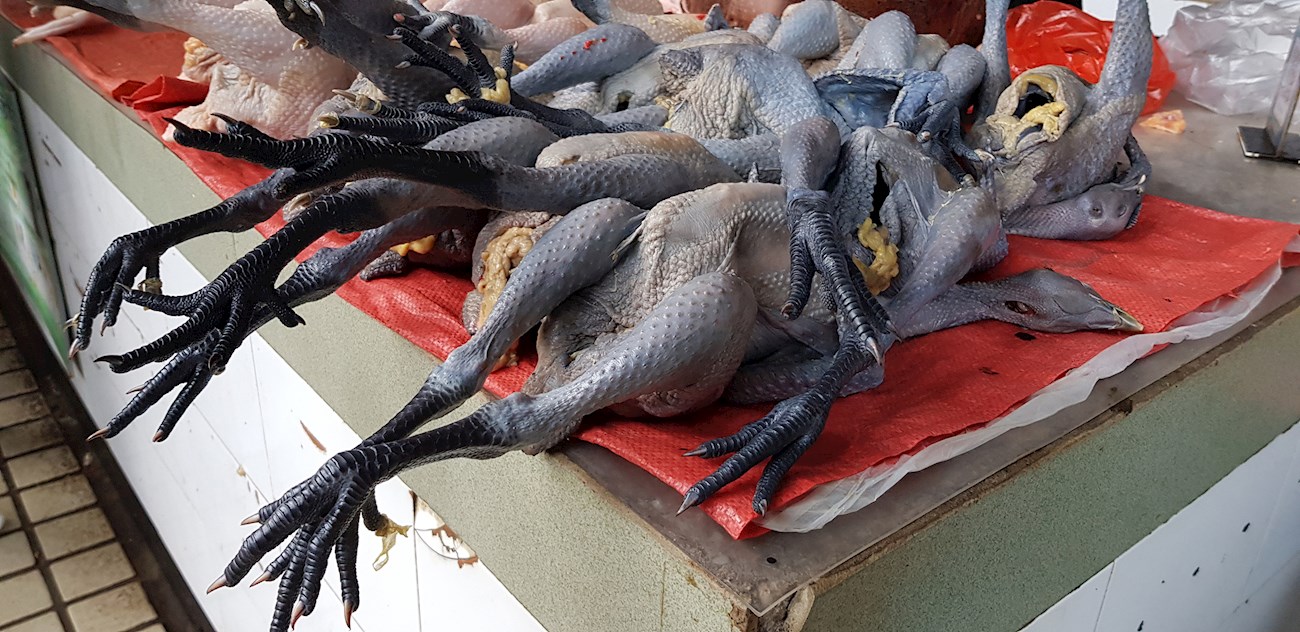 Gà Đen | Local Chicken From Sa Pa, Vietnam