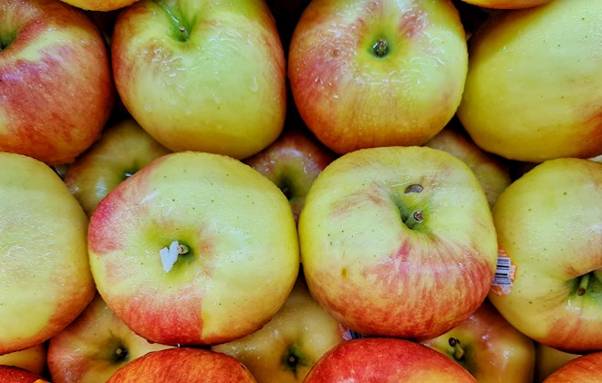 North American Apples: 54 Apple Types in North America | TasteAtlas