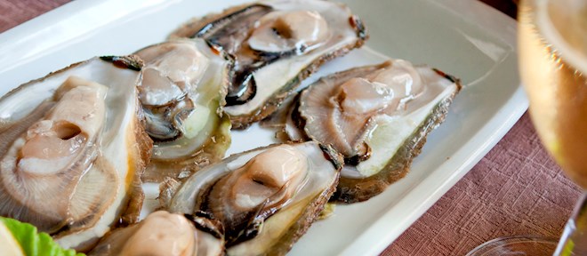 Oysters of the World: 16 Oysters Types | TasteAtlas