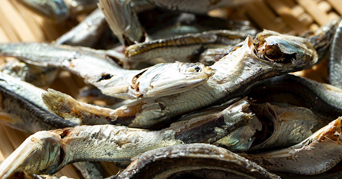 Dried Fishes of the World: 7 Dried Fish Types | TasteAtlas